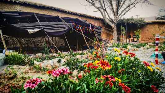 Best Iran Tour Packages by Locals 2022/23 - Let's Go Iran Tour Agency