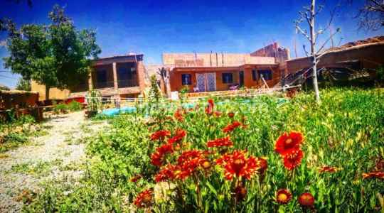 Best Iran Tour Packages by Locals 2022/23 - Let's Go Iran Tour Agency