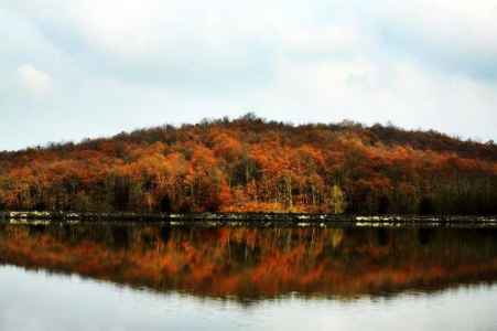 Rasht Travel Guide | Rasht Attractions | Things to Do and see in Rasht